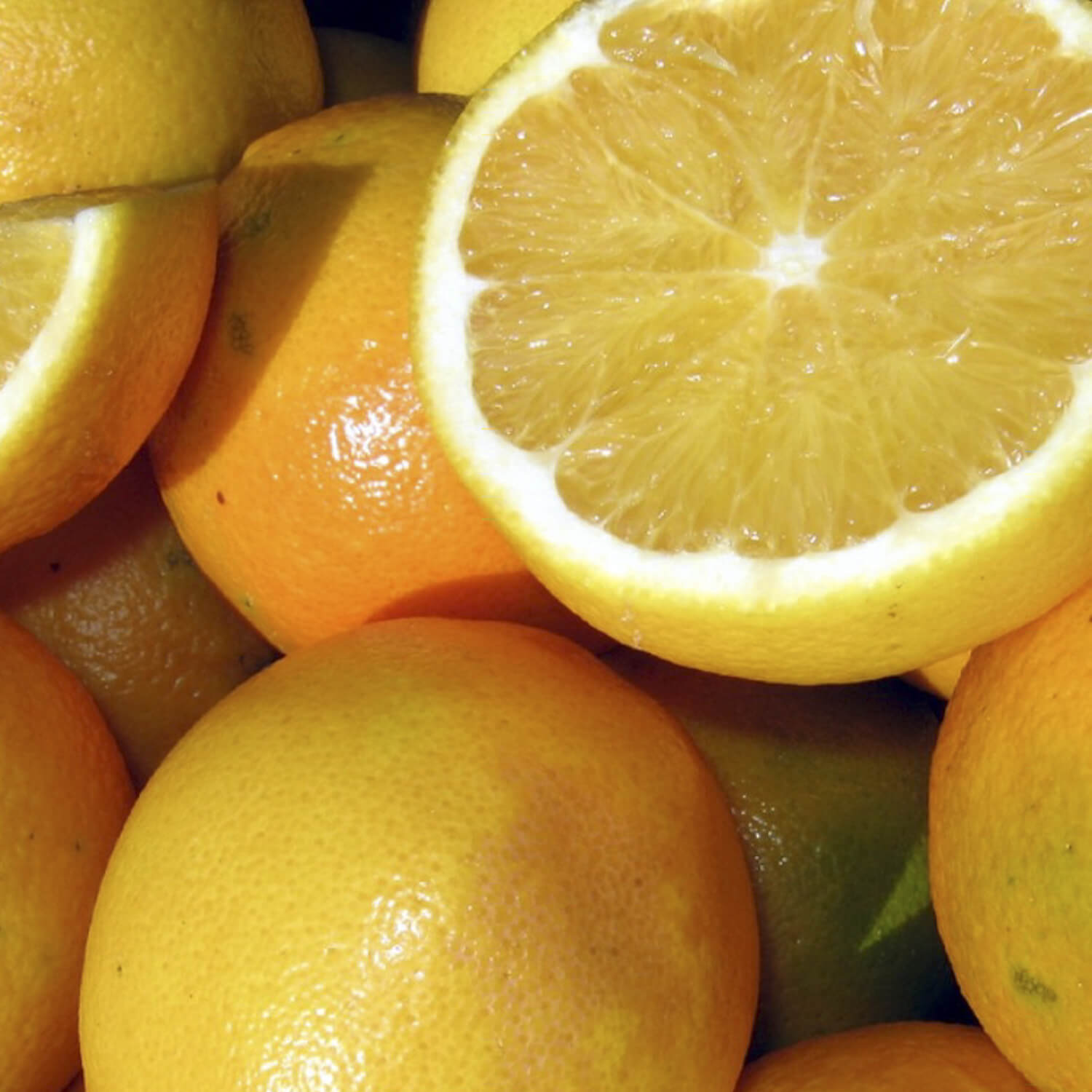 Arance di Sicilia Valencia | Arancia Mia | Sicilia | Palagonia