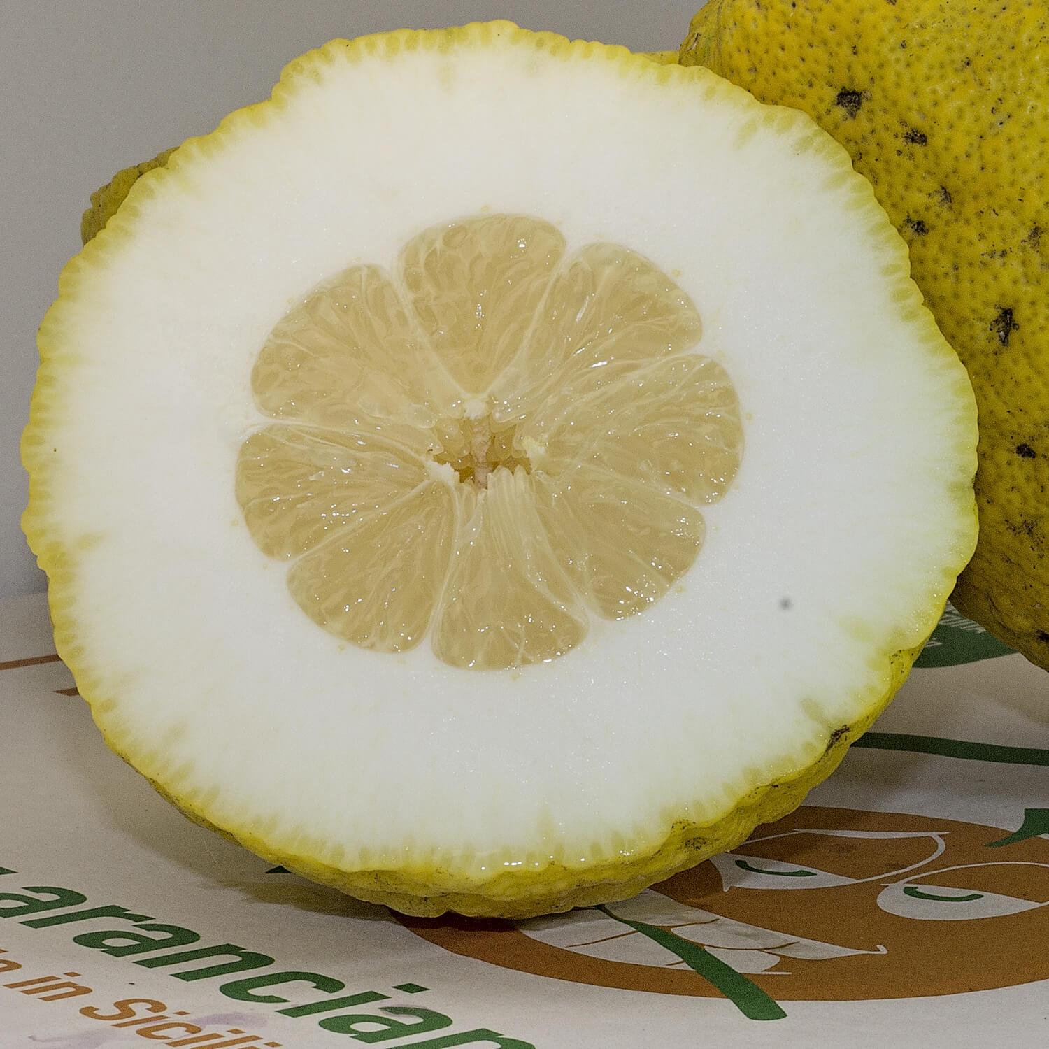 Cedri siciliani | Agrumi | Arancia Mia | Sicilia | Palagonia